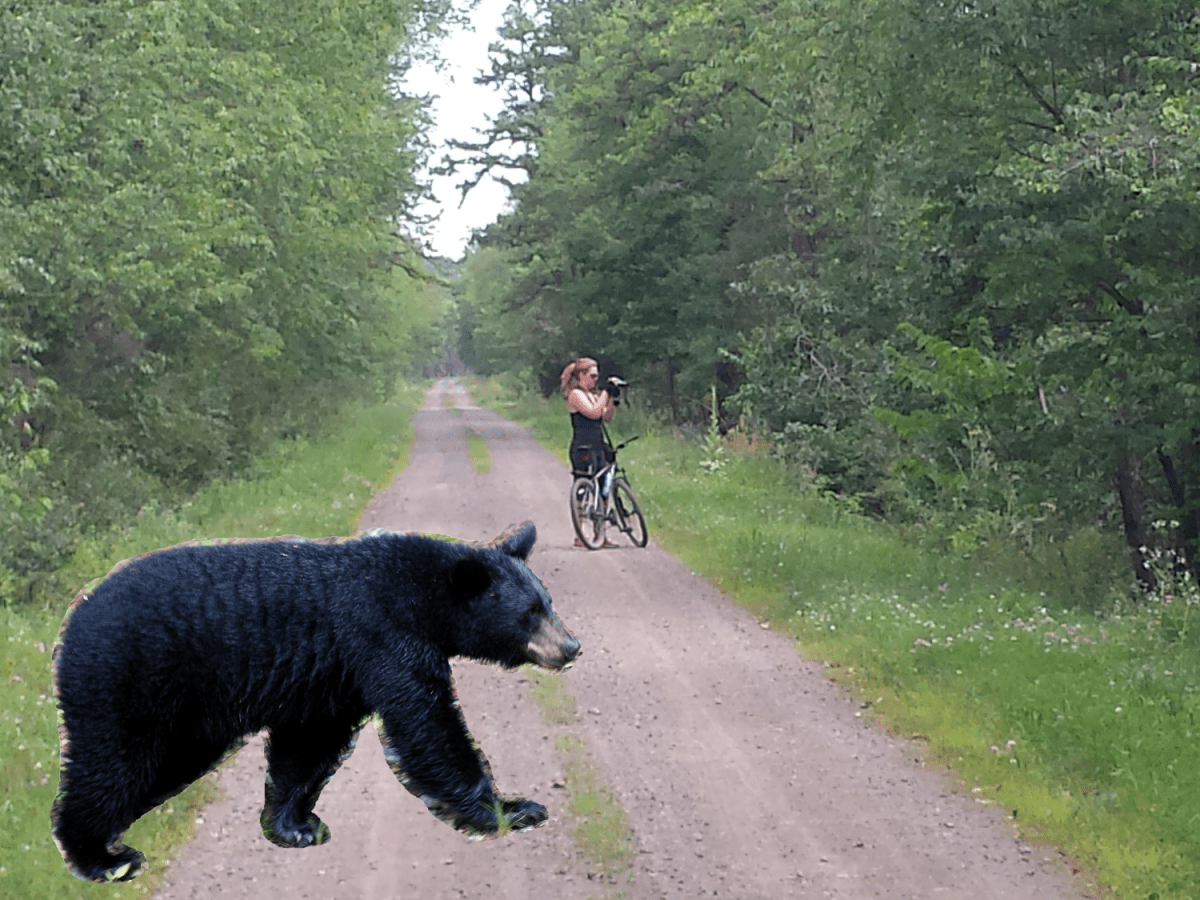 Oh oh! Beer op de weg!!! :-) | Johanna goes USA!